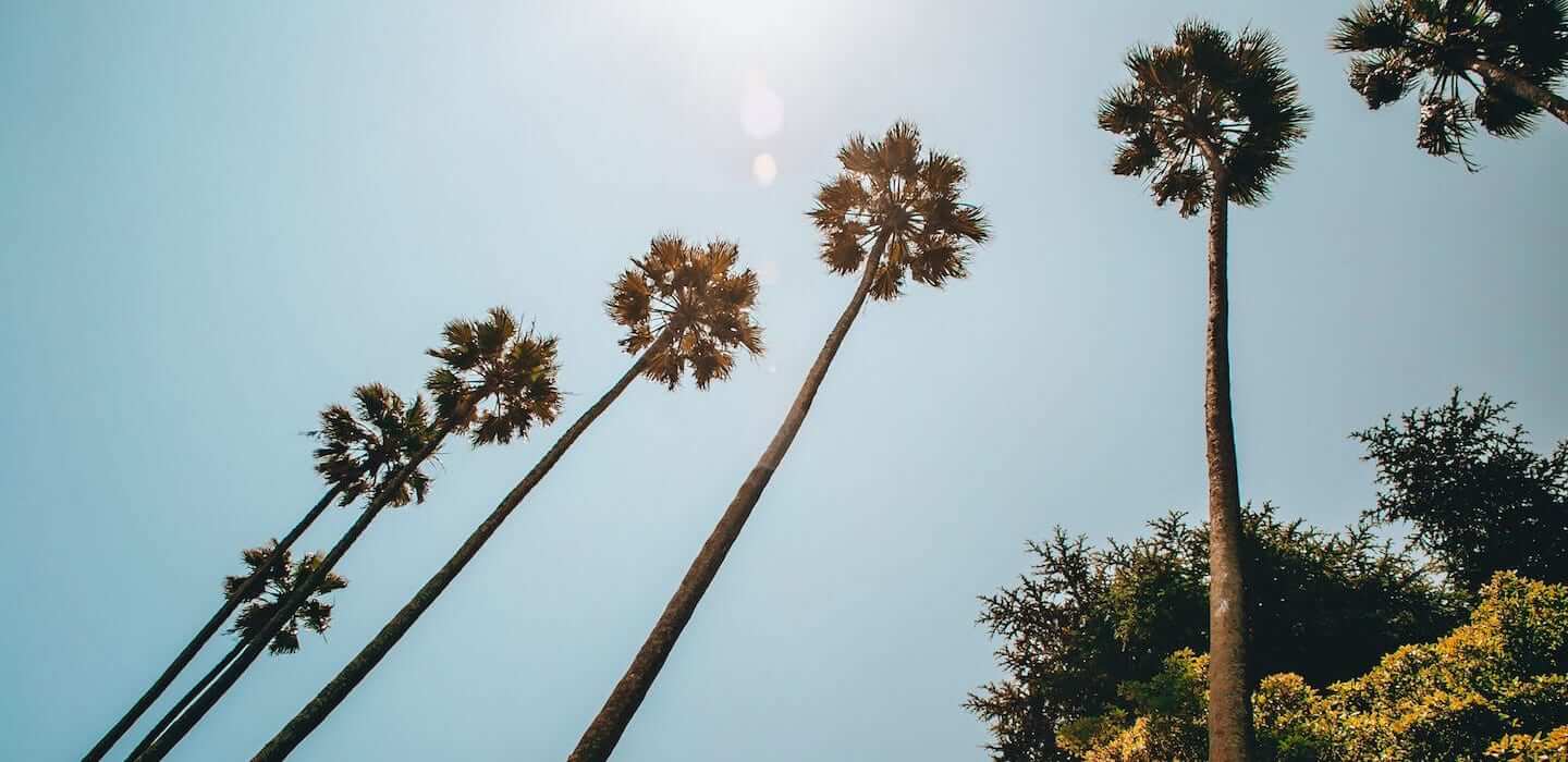 Best things to do in Summer in Porto | Portoalities: Travel blog and ...