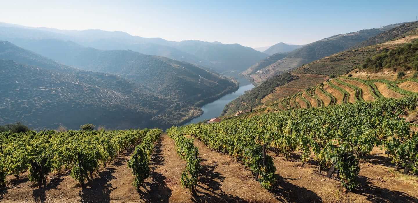 Motivos para visitar o Douro e nunca mais sair de lá | Blog ...