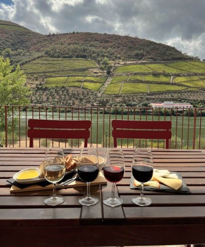 As melhores vinícolas do Douro em 2024 | Blog Portoalities ...