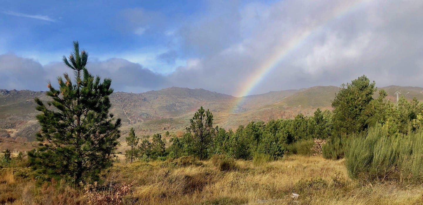 Os melhores parques naturais no Norte | Blog Portoalities ...